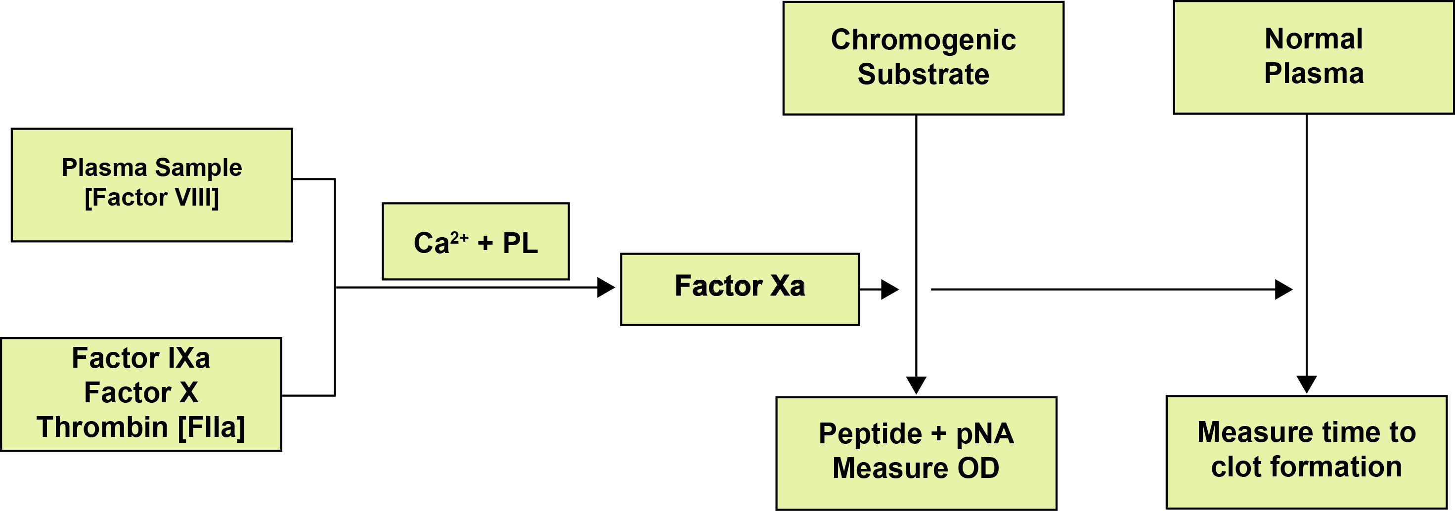 2-Stage Factor VIII Assays